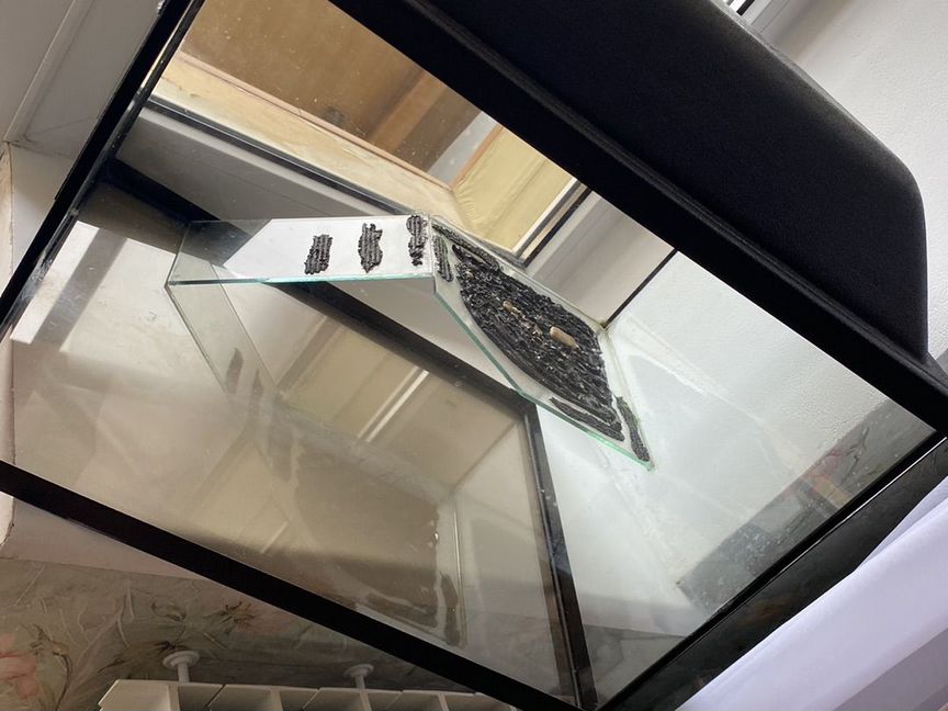 Аквариум черепашник