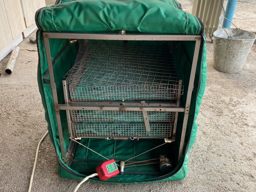 Инкубатор тгб -210