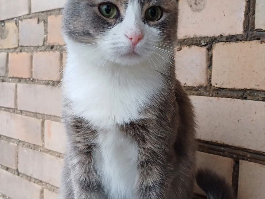 Милая Маруся