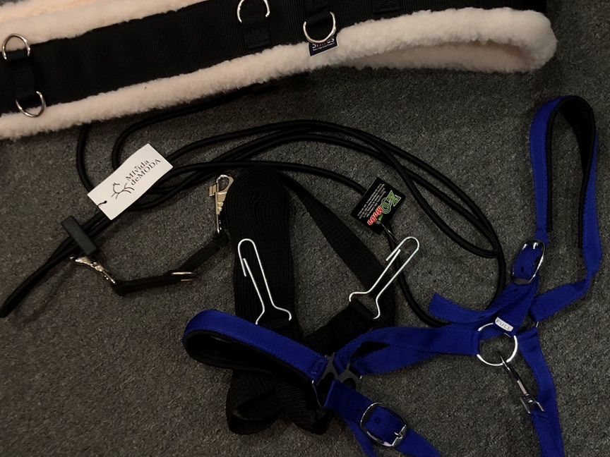 Конная амуниция новая: гурта, шамбон, недоуздок