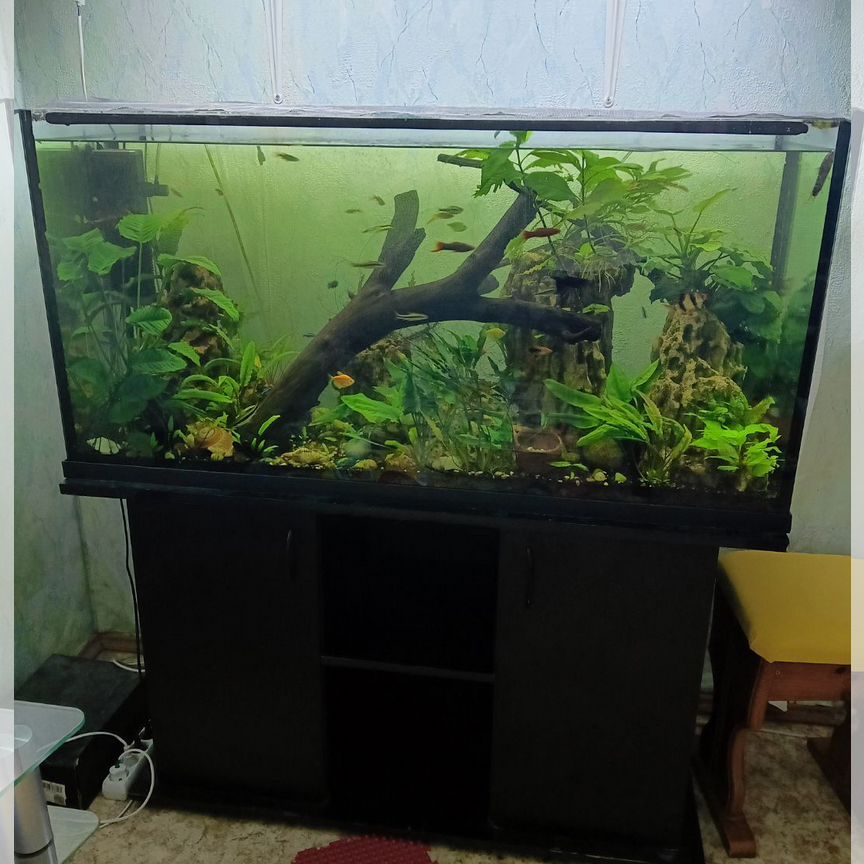 Аквариум "полный комплект"