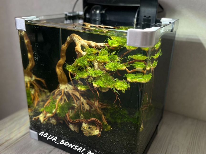 Аквариум 21л оборудованием