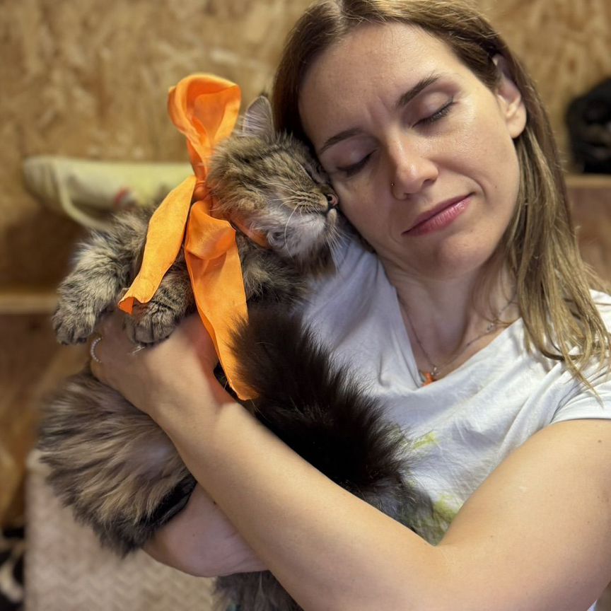 Котёнок в добрые руки