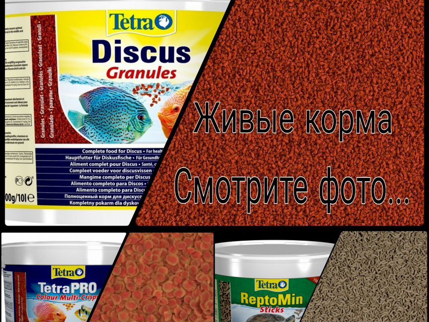 Корма для Аквариумных рыб, рептилий, креветок