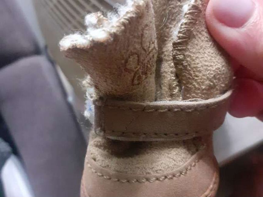 Угги для собачки