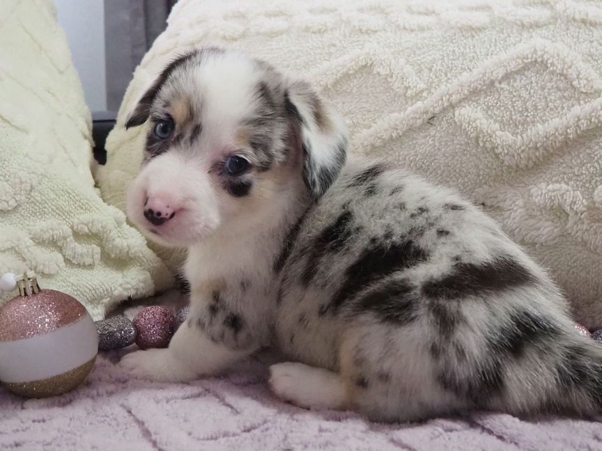 Мальчик Океан