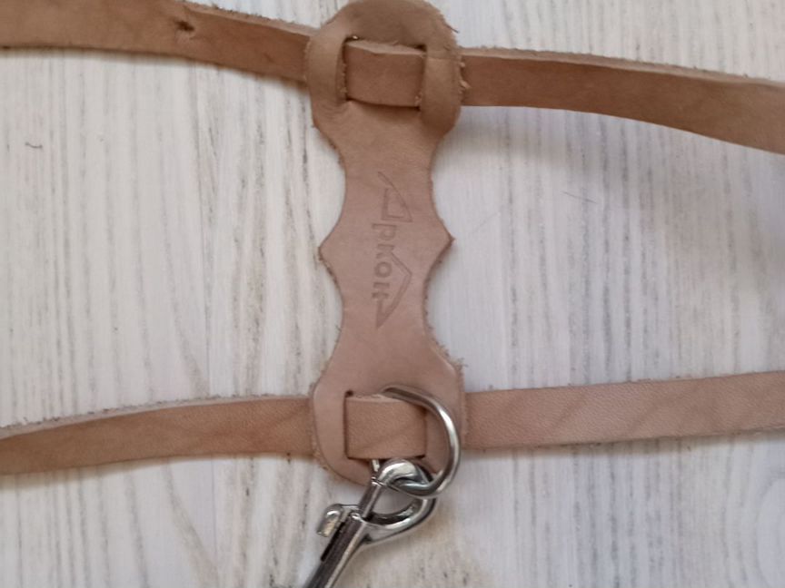 Шлейка и поводок кожа Аркон