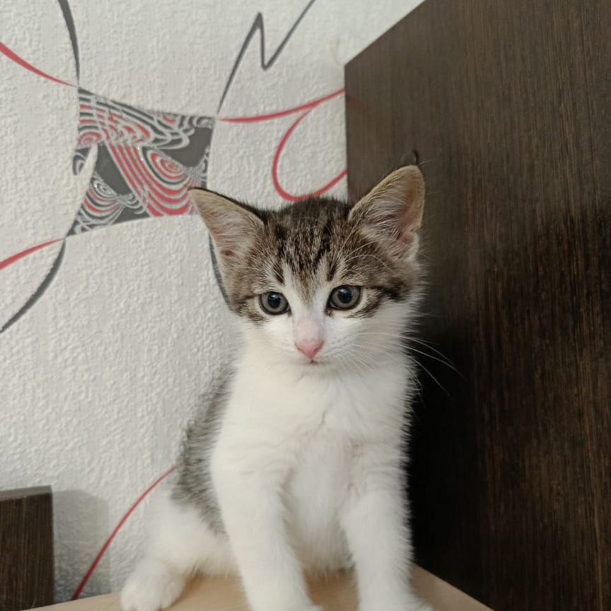 Маня-милая девочка