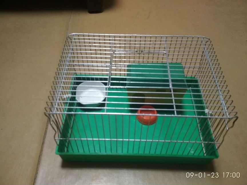 Клетка для грызунов скорее всего