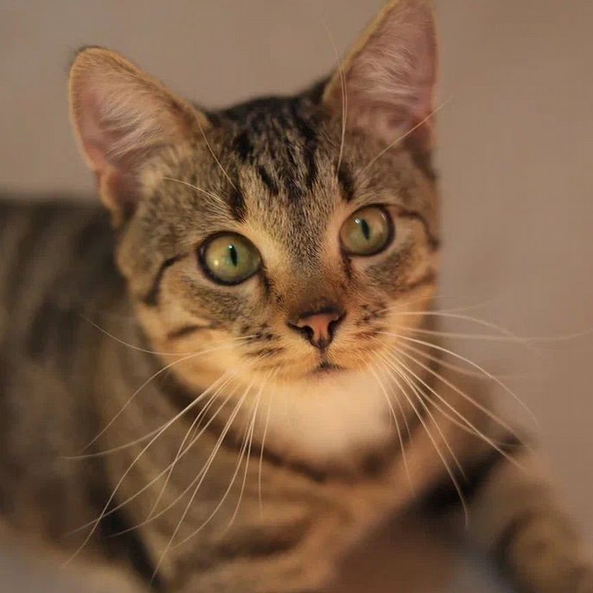 Красивый молодой парень