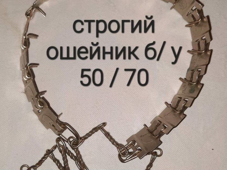 Строгий ошейник для собак