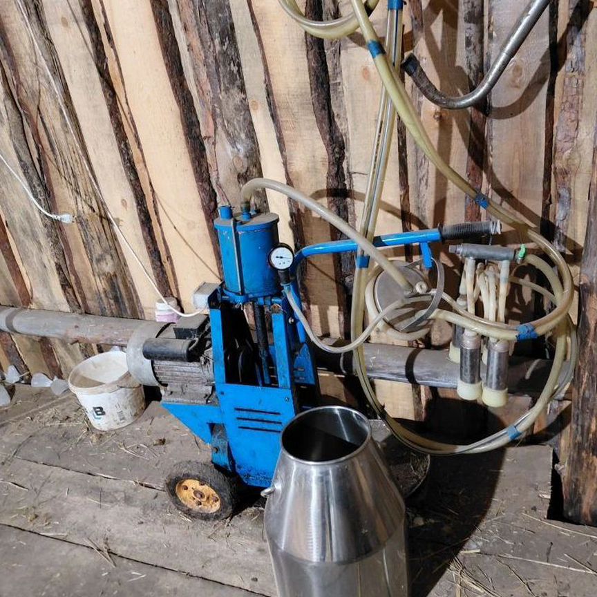 Доильный аппарат для коров бу