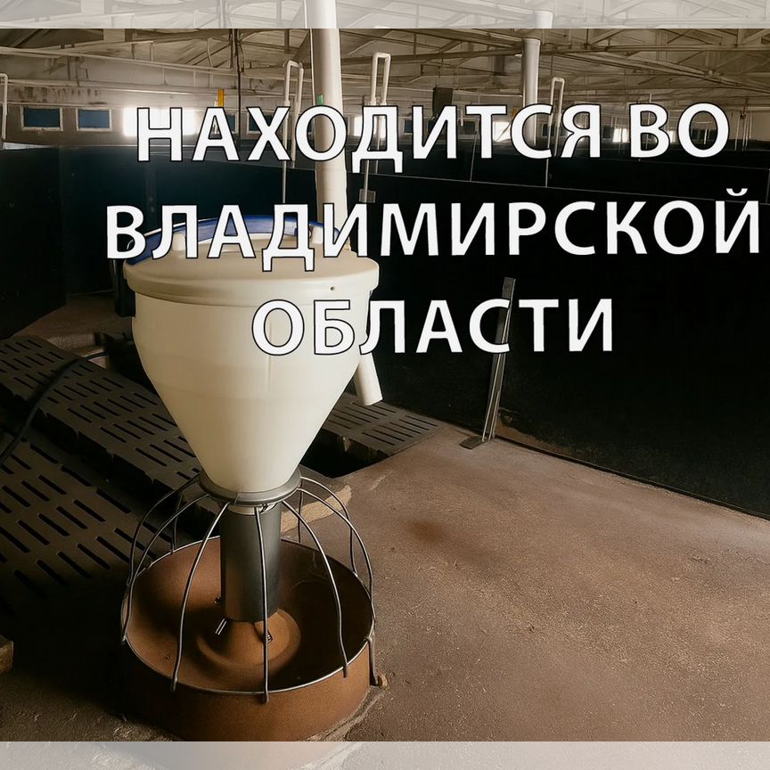 Кормушки для откорма свиней