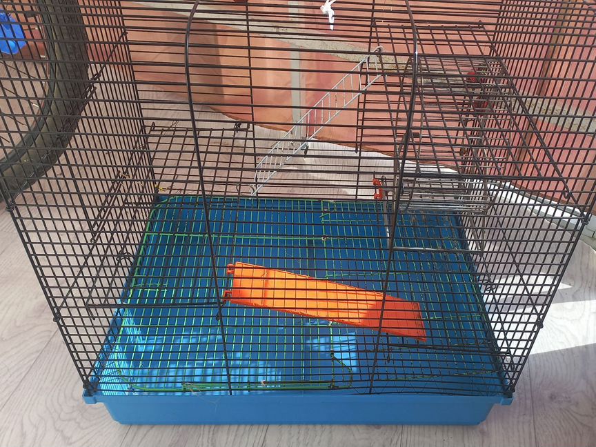 Клетка для грызунов бу