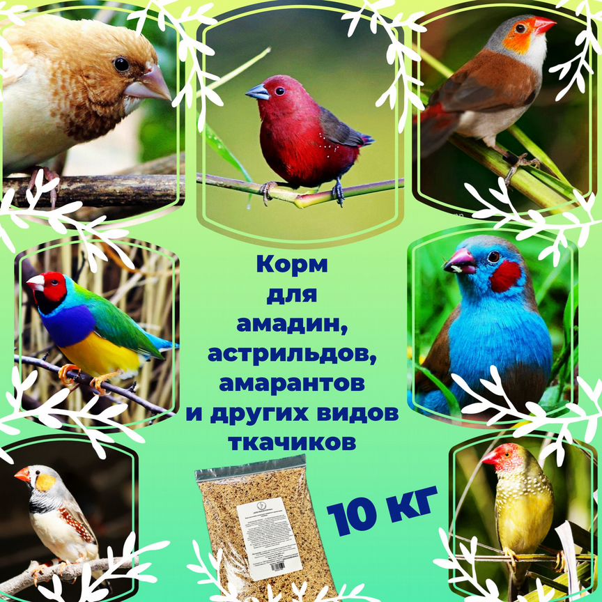 Корм для амадин, астрильдов, амарантов и других ви