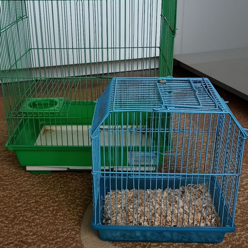 Клетка для хомяка бу