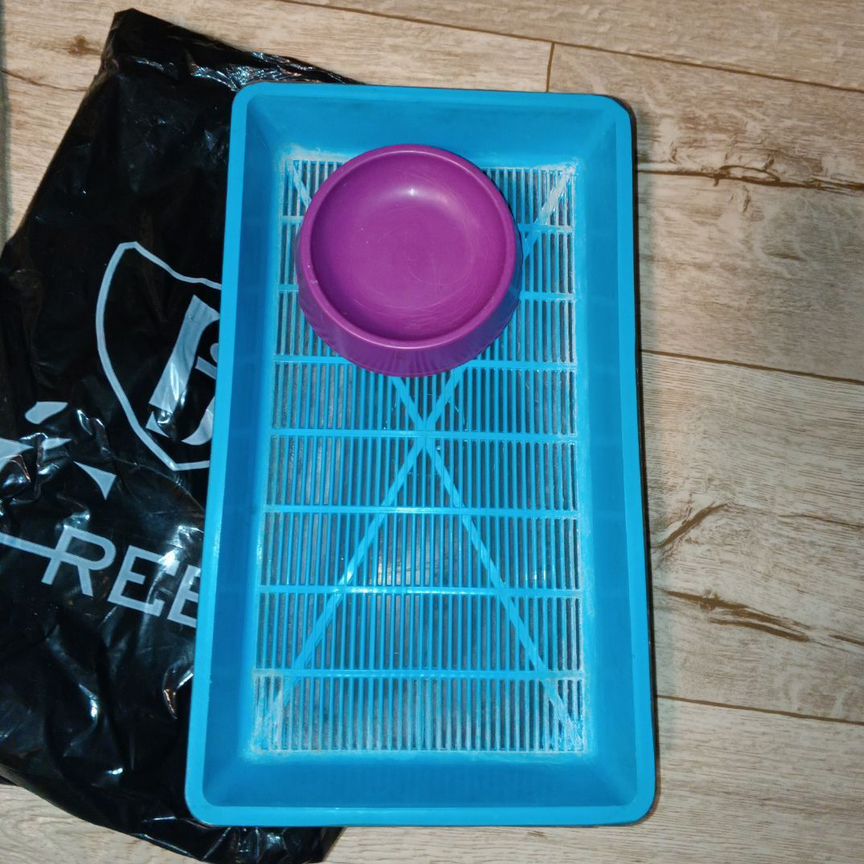 Лоток и миски для кошек