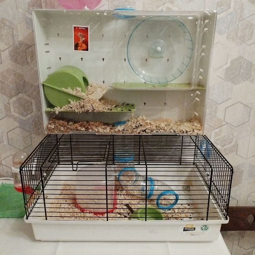 Все для хомяка