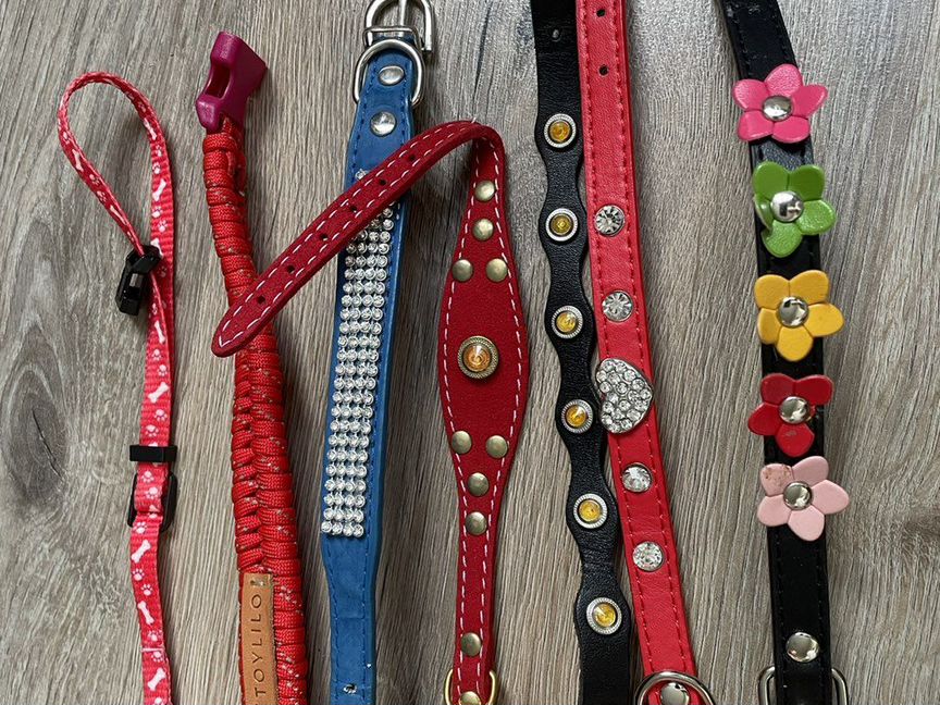 Поводок для собак