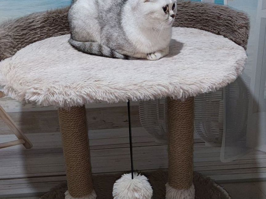 Домик для кошки с когтеточкой бу