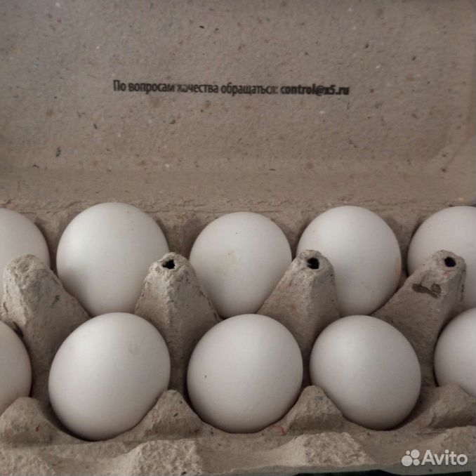 Домашние куриные яйца