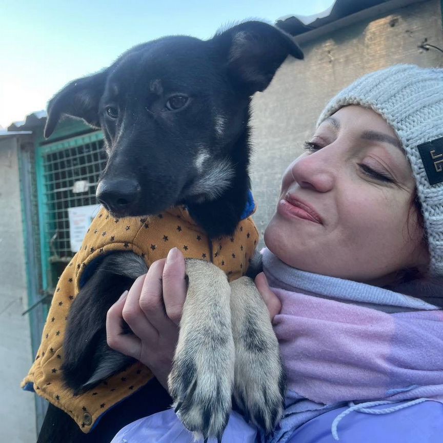 Щенок в добрые руки