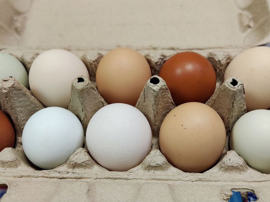 Деревенские яйца