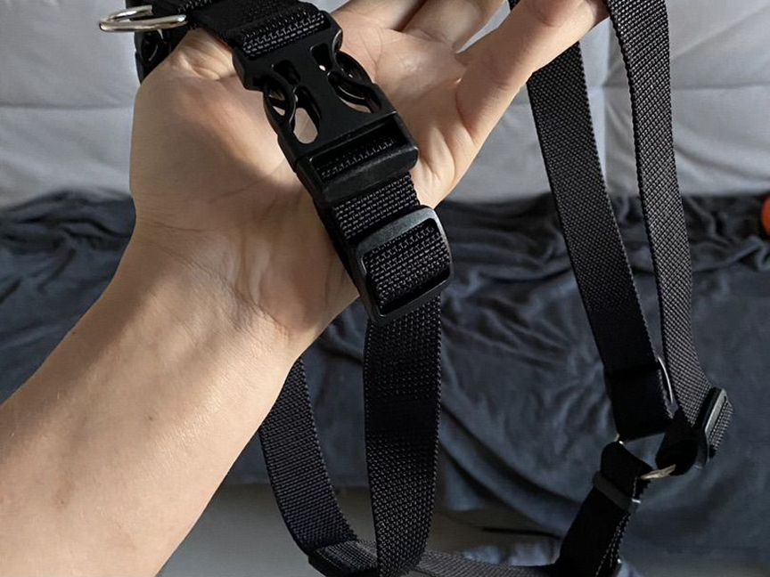 Шлейка для собаки канис