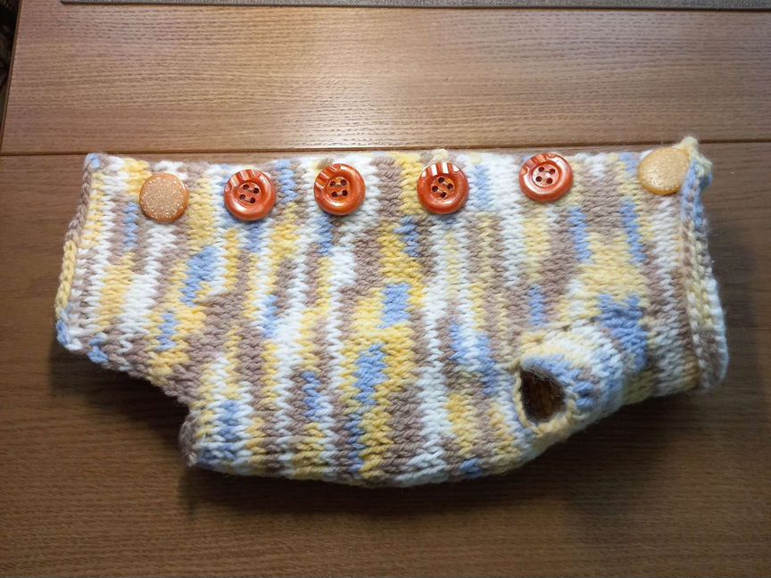 Одежда для маленьких собак