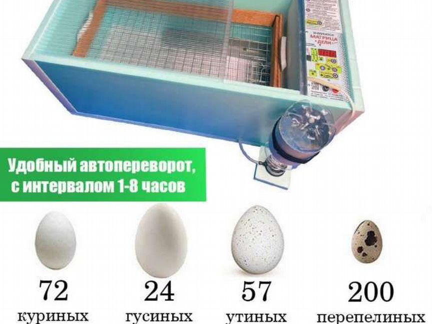 Инкубатор для яиц