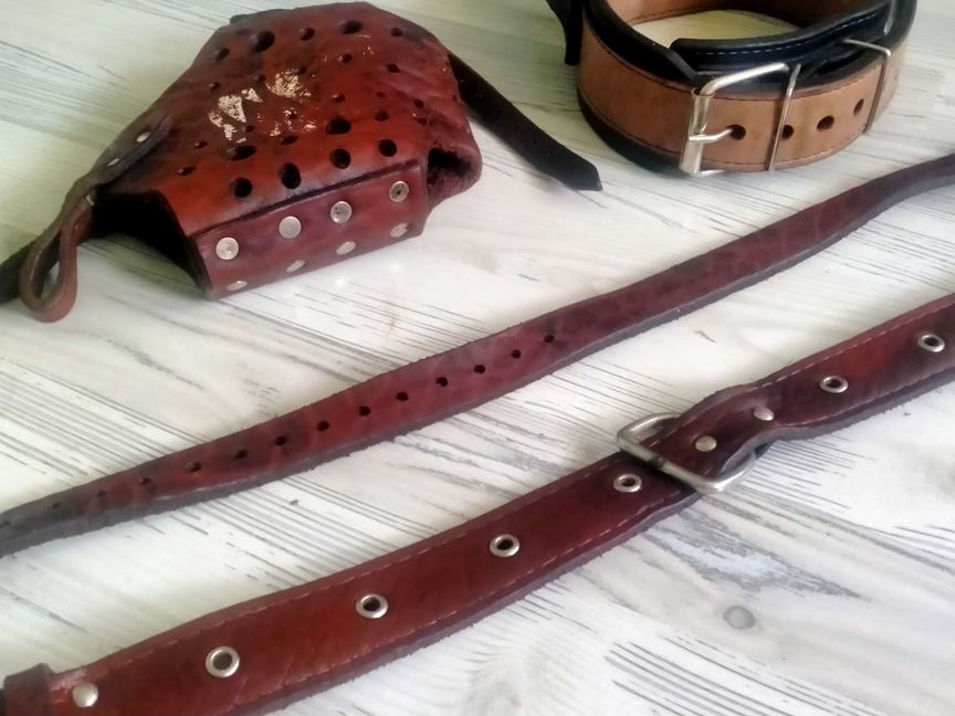 Ошейник для собак