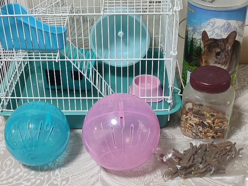 Все для хомяка