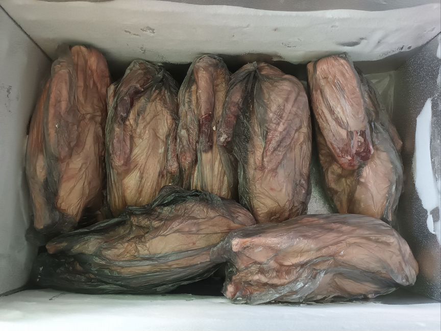 Гусиное мясо