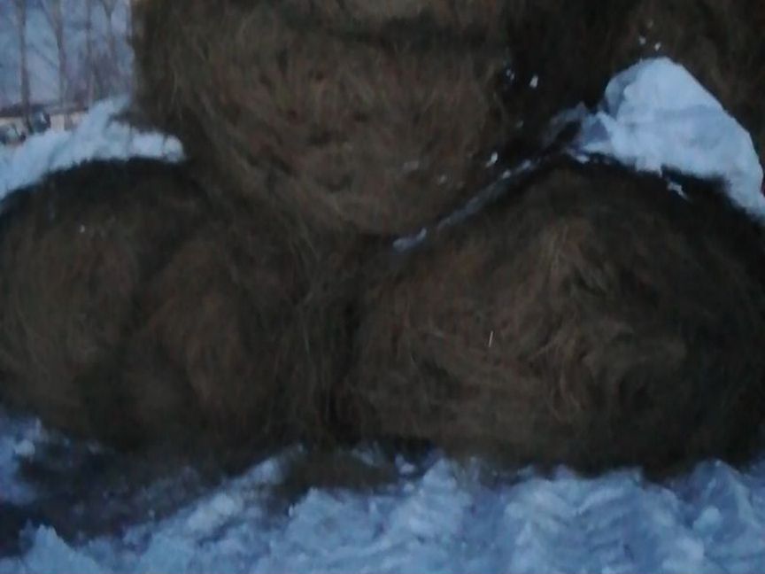 Сено и салома