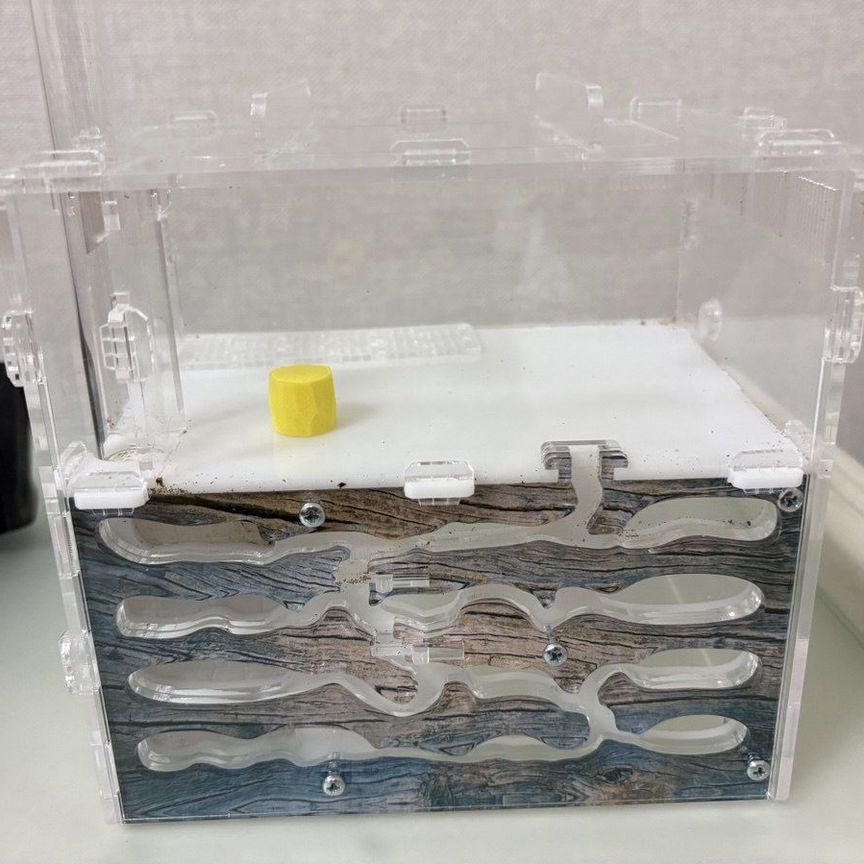 Муравьиная ферма "Архипелаг" 4ants