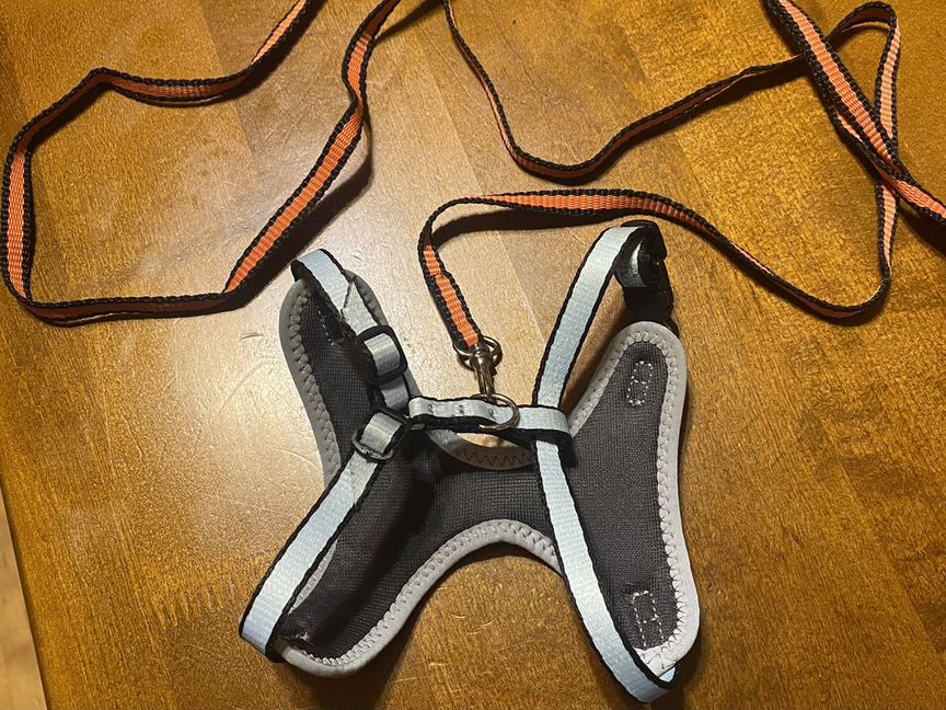 Шлейка для маленькой собаки с поводком