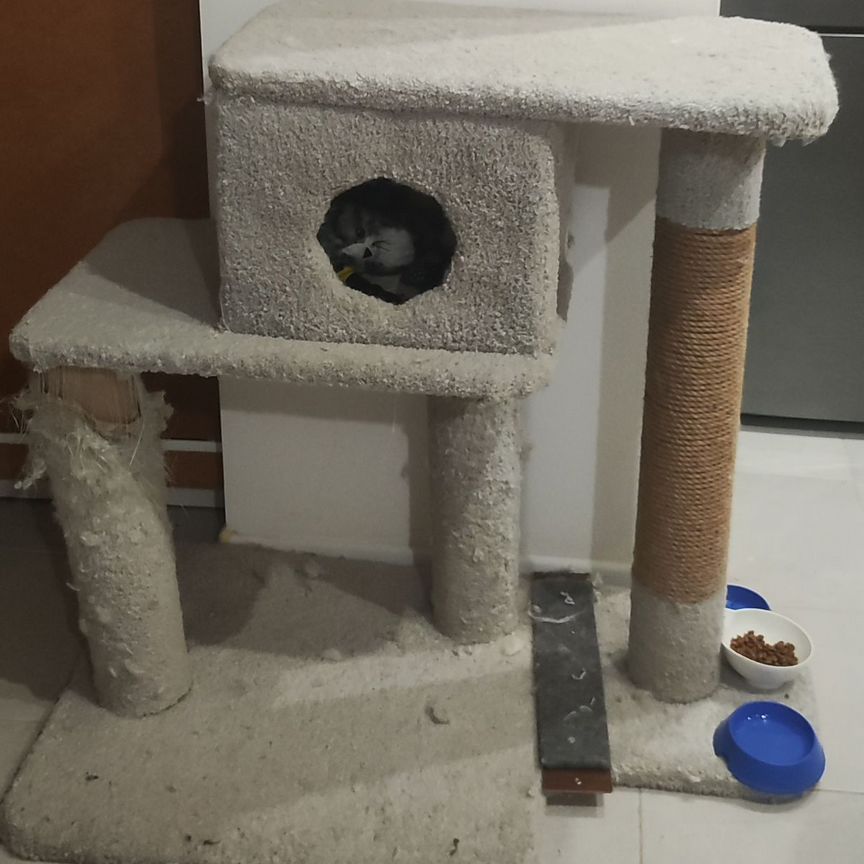 Когтеточка домик для кошки бу