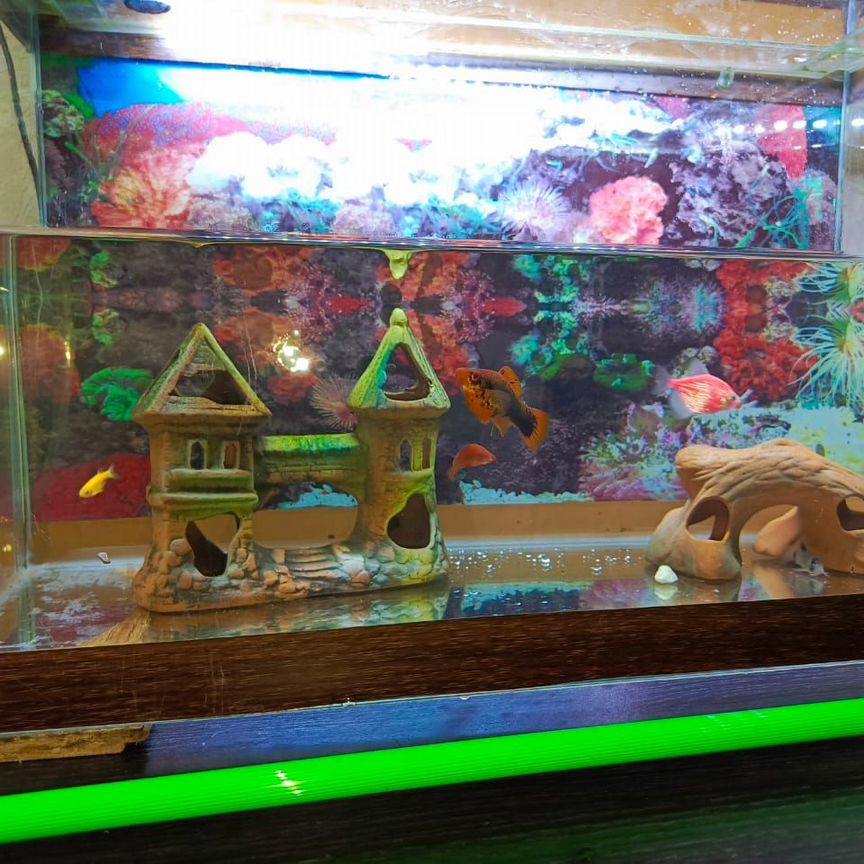 Продам аквариум 70 литров