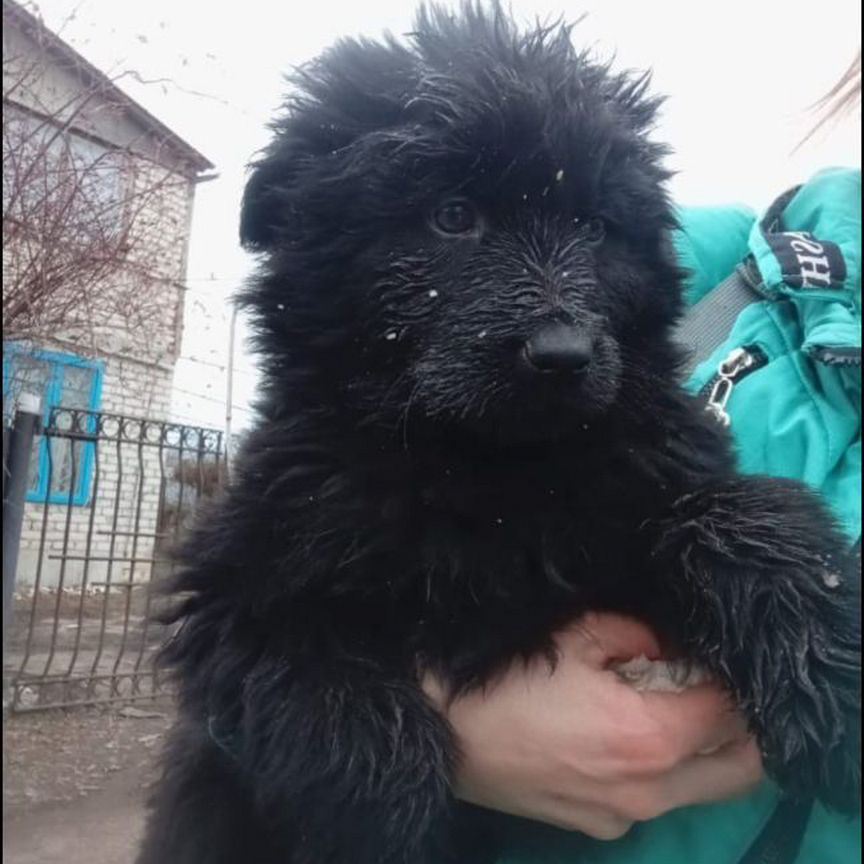 Матвейка 3 мес мальчик