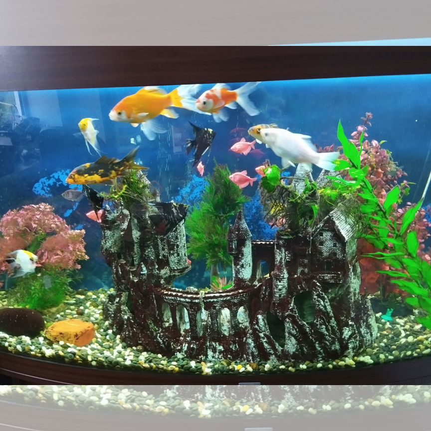 Продам аквариум"juwel" с рыбками