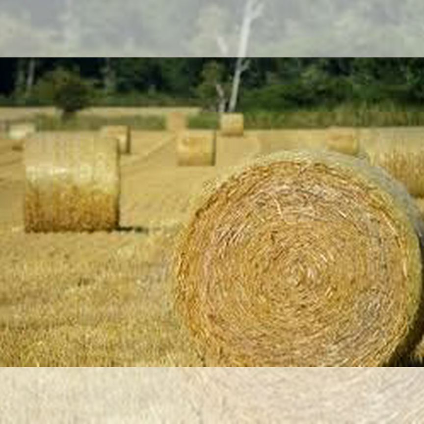 Солома в рулонах