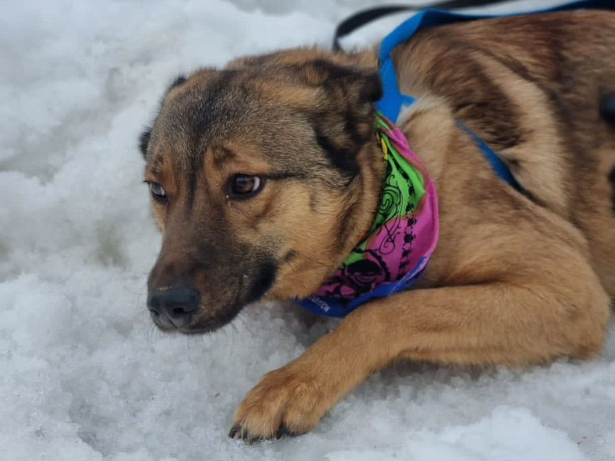 Малышка Саша в добрые руки