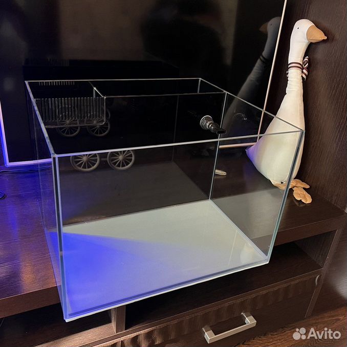 Морской аквариум с задним сампом