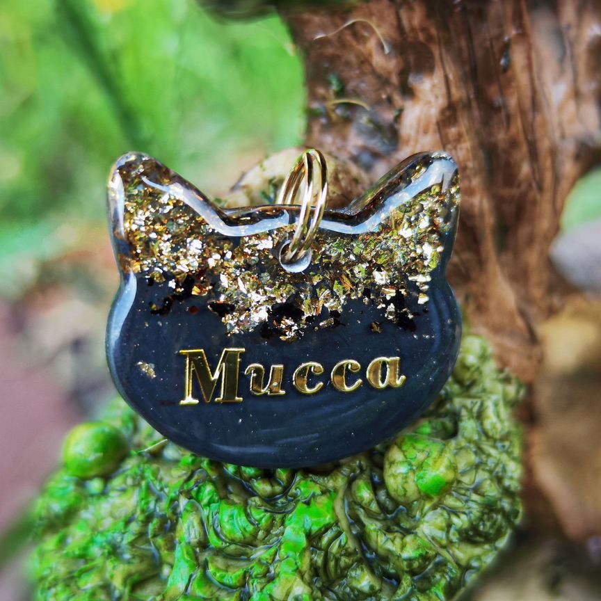 Адресник для собак