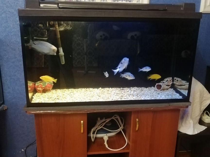 Аквариум на 220 литров