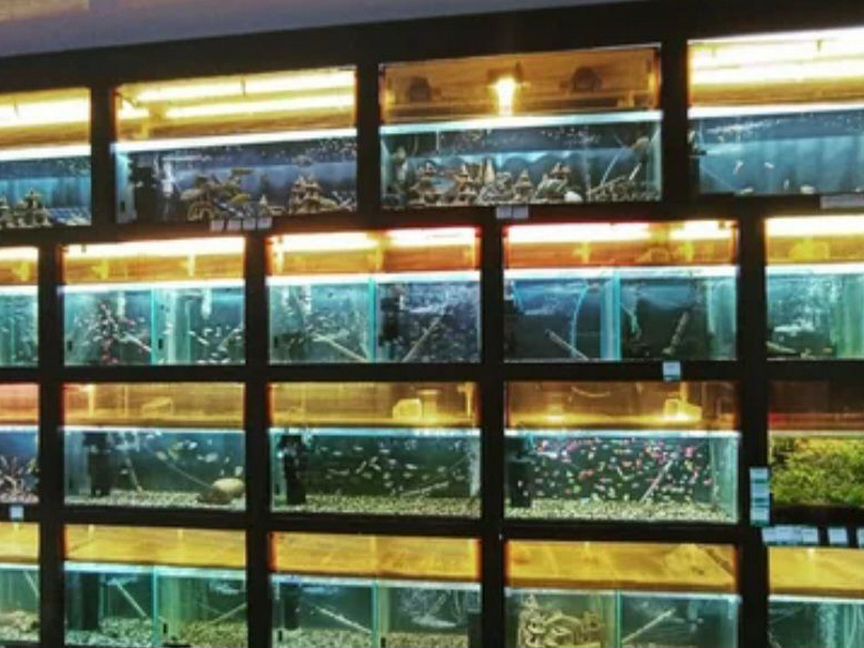 Стойки и аквариумы на заказ