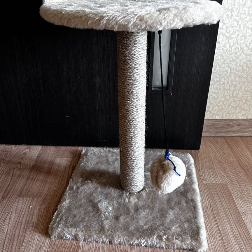 Когтеточка для котят