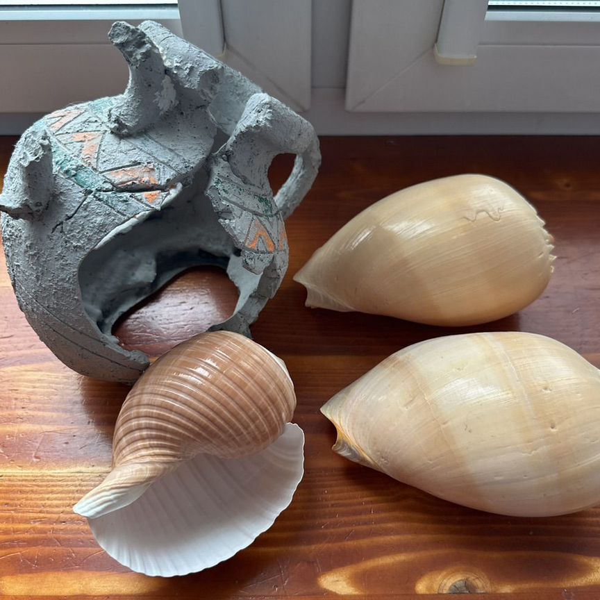 Декор для аквариума