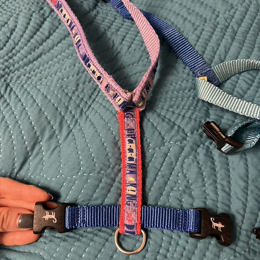 Шлейки шарик дог