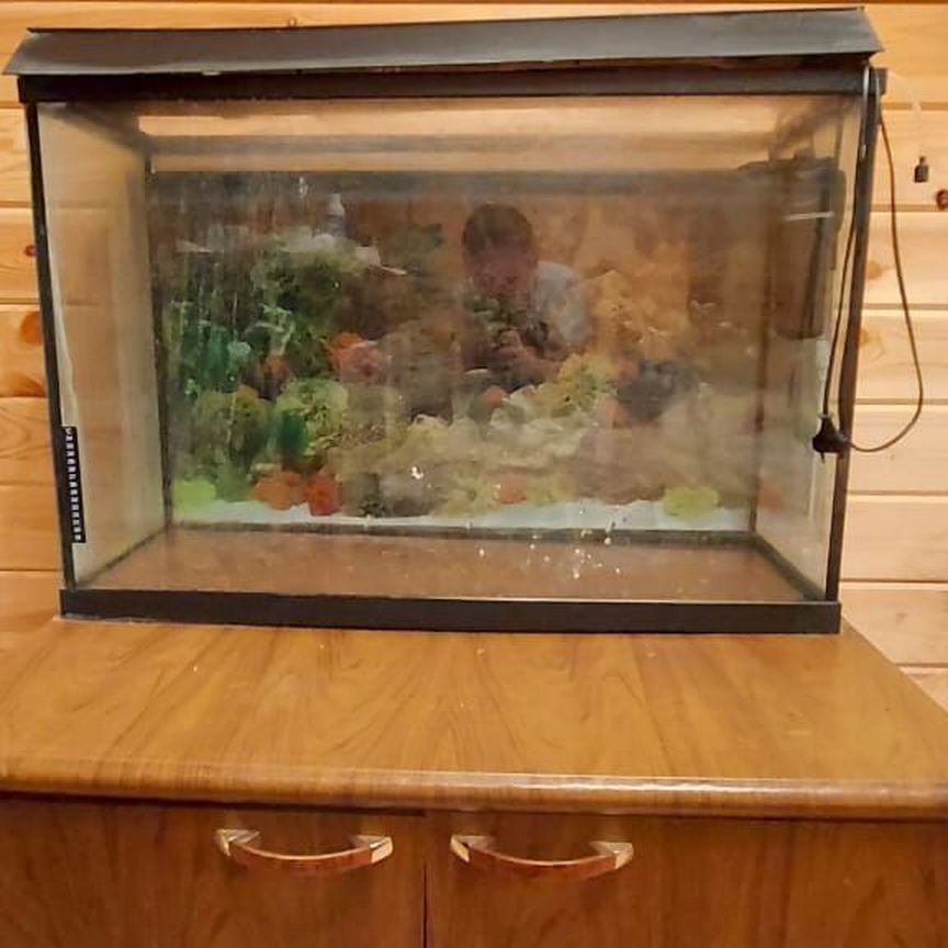 Аквариум 86 длина 58 высота 31 глубина